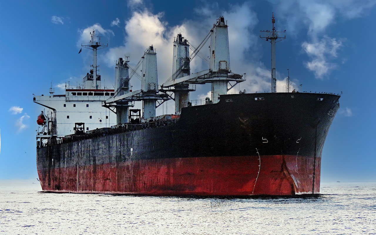 Dry Bulk Cargo Survey - Captain Langer